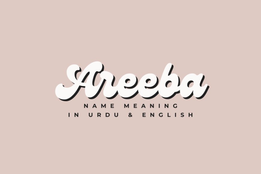 Areeba Name Meaning in Urdu & English - Origin, Popularity, and More ...