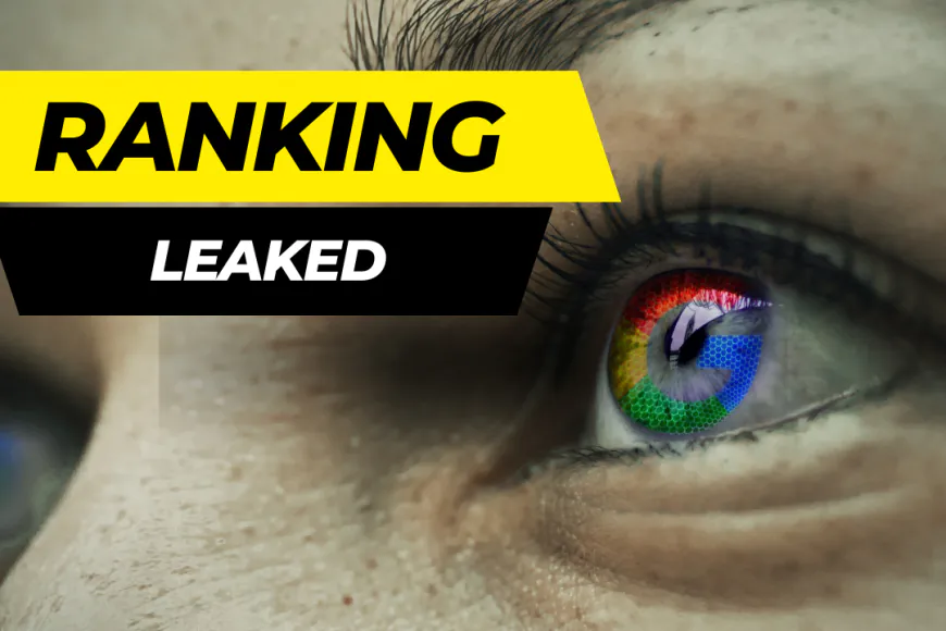 Google's Ranking Signals Leak: Understanding the Content Warehouse API - Dareecha